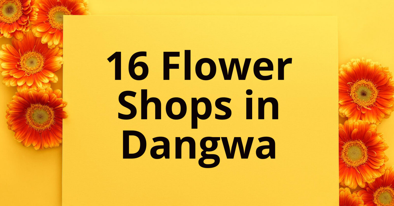 Discover the Floral Paradise of Dangwa: A Haven for Flower Enthusiasts